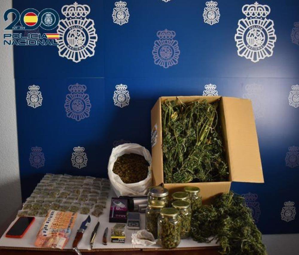 La Policía Nacional desmantela un centro de producción y distribución de marihuana en Tomelloso ...